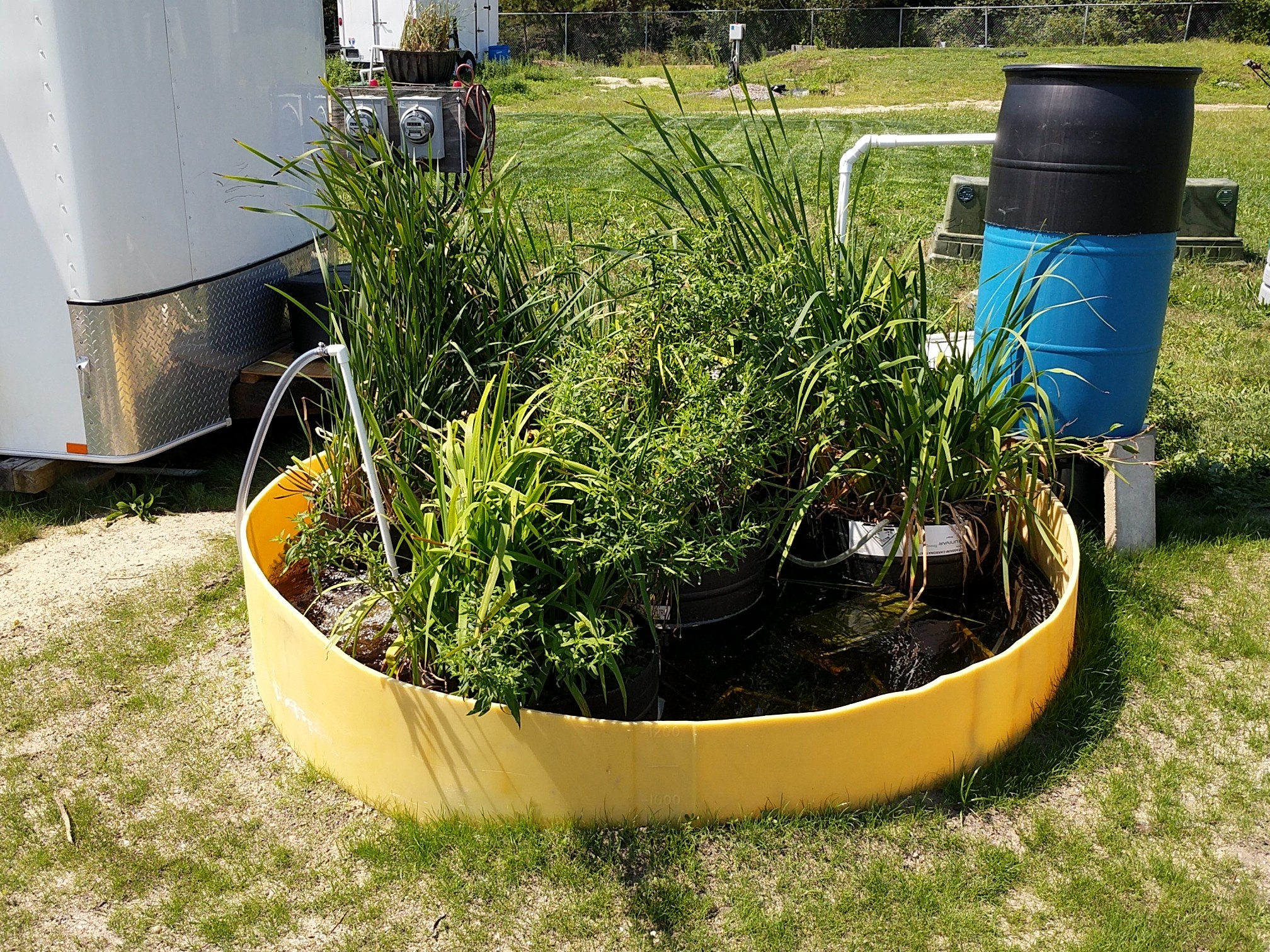 Floating Constructed Wetlands - MASSTC